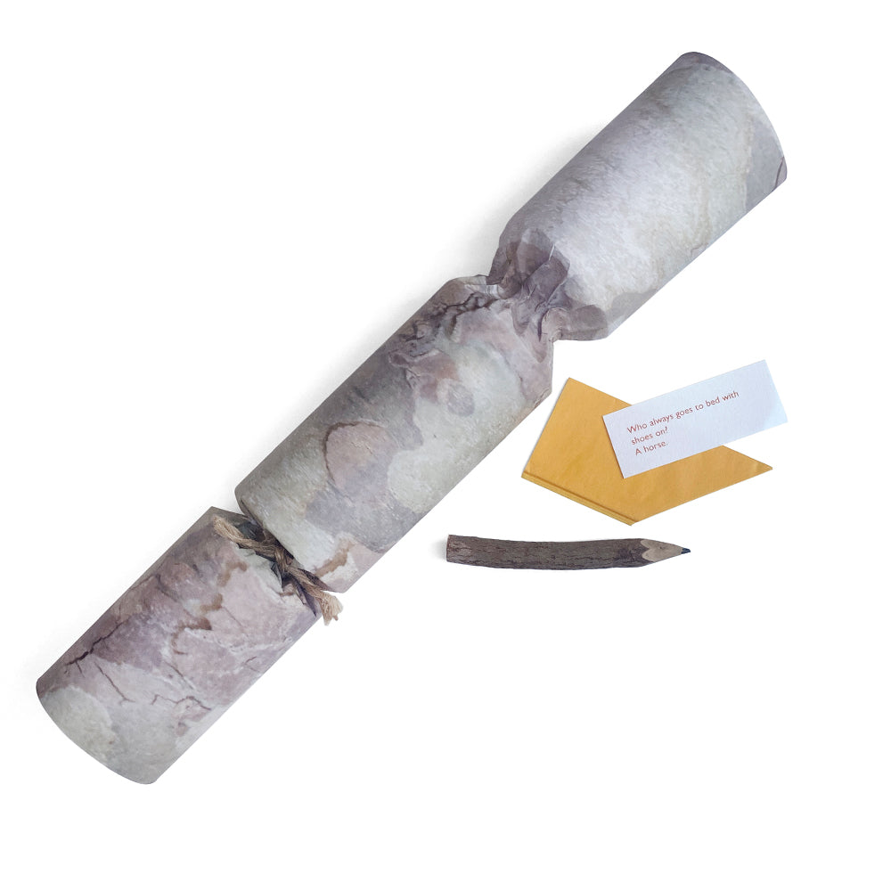 loose crackers - platanus bark – hedgehogshop