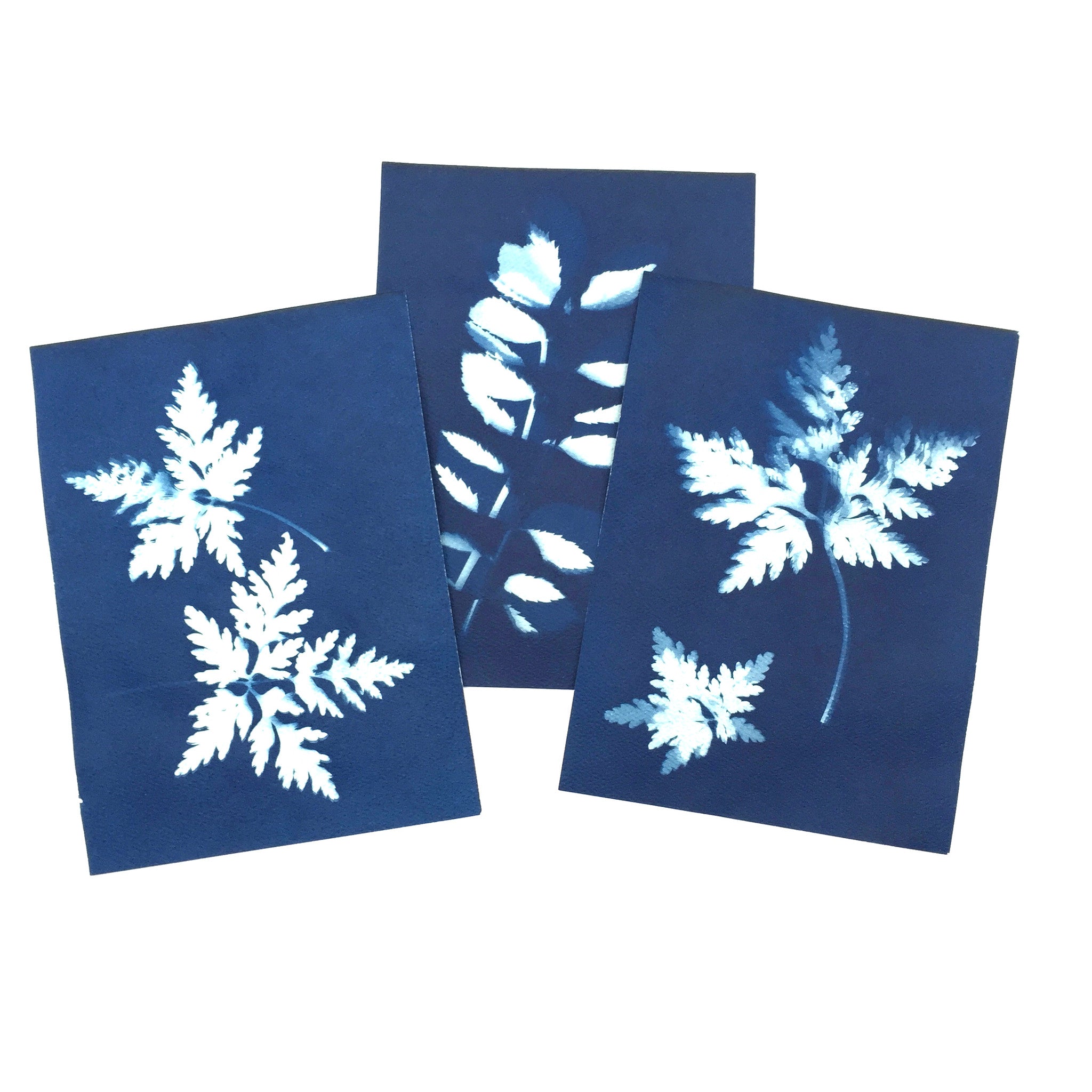 sunography paper sheets – hedgehogshop